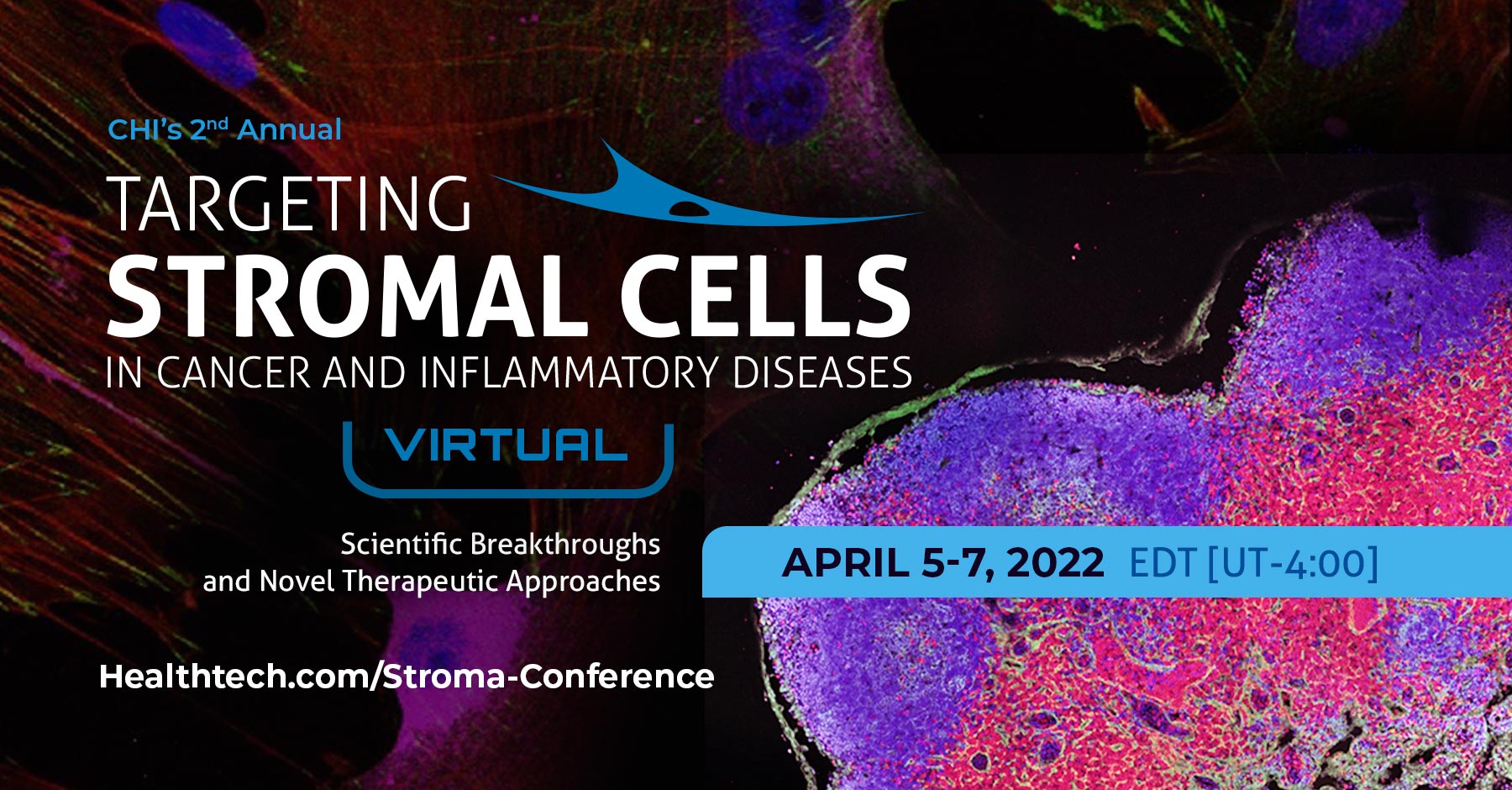 CHI's Targeting Stromal Cells in Cancer and Inflammatory Diseases ...